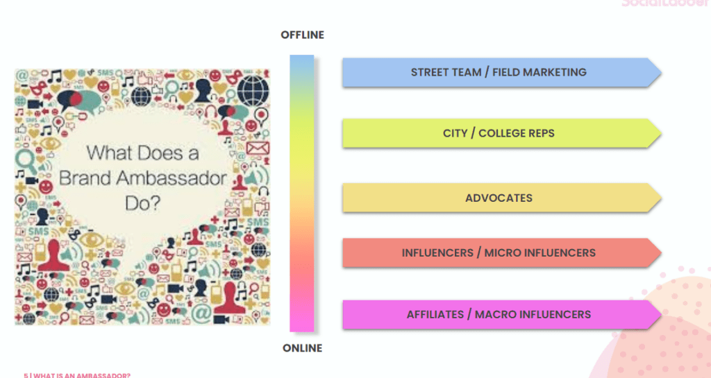 Snack Brands Ambassador Marketing Strategy - SocialLadder